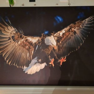 Black Jaguar Wild Cat Wall Art Design Poster Print Decor for - Etsy