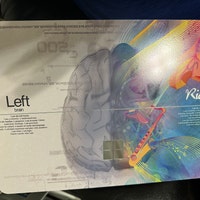 Right Left Brain Surface Laptop Skin Laptop Go Skin Laptop 4 3 - Etsy ...