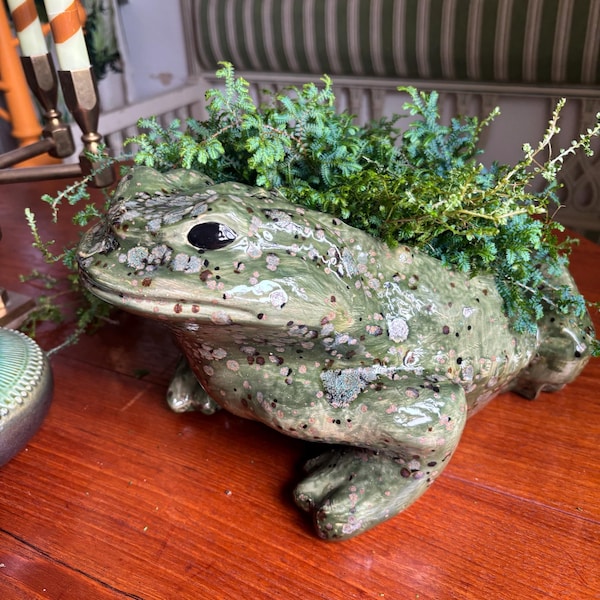 CUSTOM Painted Ceramic Arnel Toad Toilet Paper Holder LARGE - Etsy
