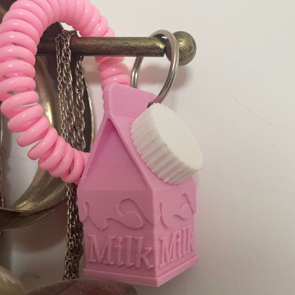 Keychain Lactaid Pill Holder Bottle - Etsy