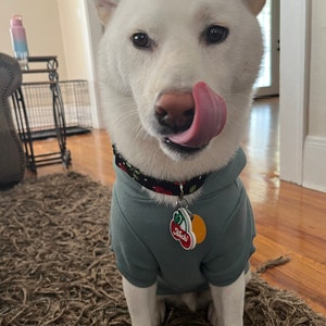 Aztec 2 Inch Dog Collar 1 Inch Wide Dog Collar Large Dog - Etsy