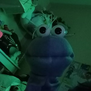 Hand Puppet Customizable Boy Puppet 1 Professional Puppet available in ...