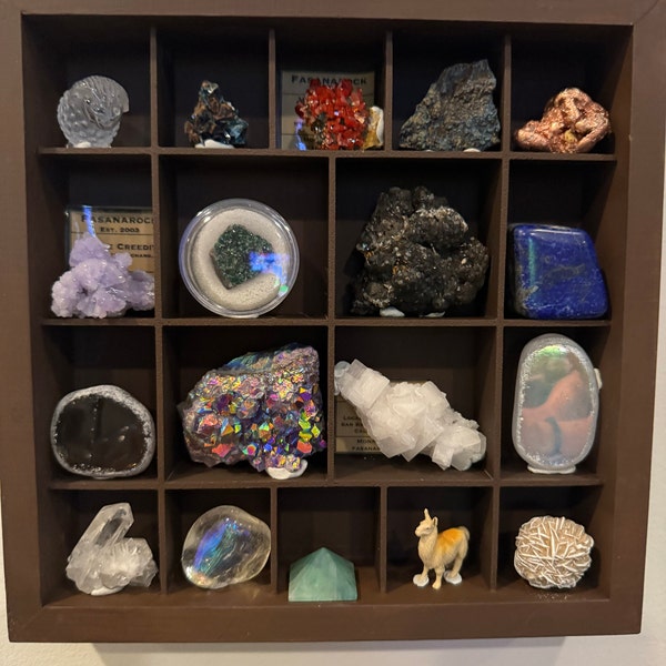 Wooden Curiosity Cabinet Printer Tray Letterbox Display, Rock Display ...