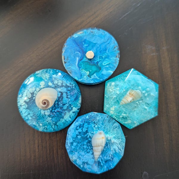 Seashell Magnet Set of 8 Ocean Magnet for Fridge, Cute Desk Accessories ...