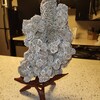 Large Wood Display Stand I Large Wooden Display Stand I Conch Shell ...