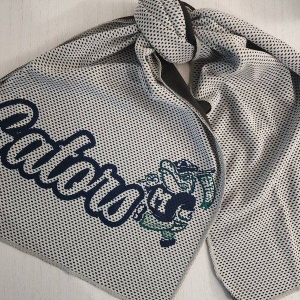Personalized Cooling Sports Towel Baseball Team Custom Order Wet Rag ...