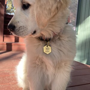 Dog Tag Dog Tags for Dogs Dog Tags Pet Id Tag the Tardis | Etsy