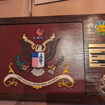 Army Medical Replica Guidon Plaque - Etsy