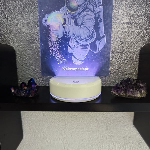 Pig Led Light Box, Farm Animal Wall Art Decor, Light Sign, Desktop ...