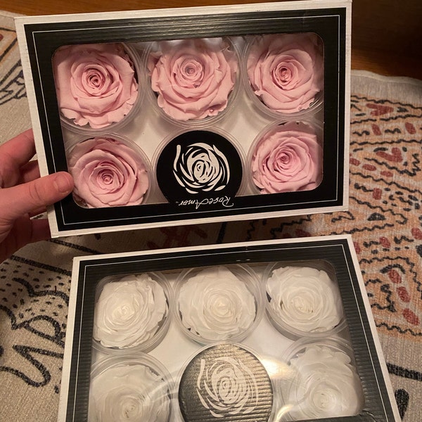Wholesale XL Roseamor Ecuadorian Preserved Roses, High Quality PACK OF ...