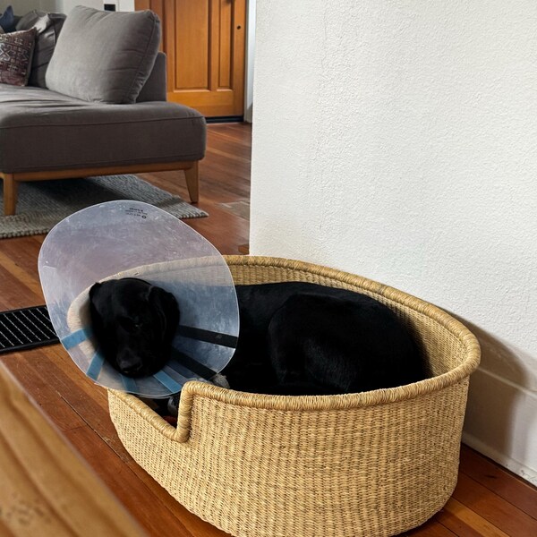 XL Handmade Rattan Dog Bed | Rattan Pet Bed | Dog Basket Bed | Wicker ...