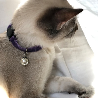 Cute Pearl Cat Collar, Panne Velvet Cat Collar, Puppy Collar. Dog ...