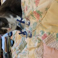 SCARCE! 1924 Antique Embossed DELAWARE PUNCH Soda Bottle Fowler ...