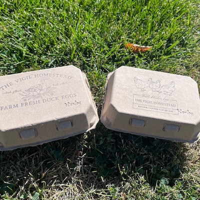 Split-apart Egg Cartons Vintage Printed Design Each Carton Can Split ...