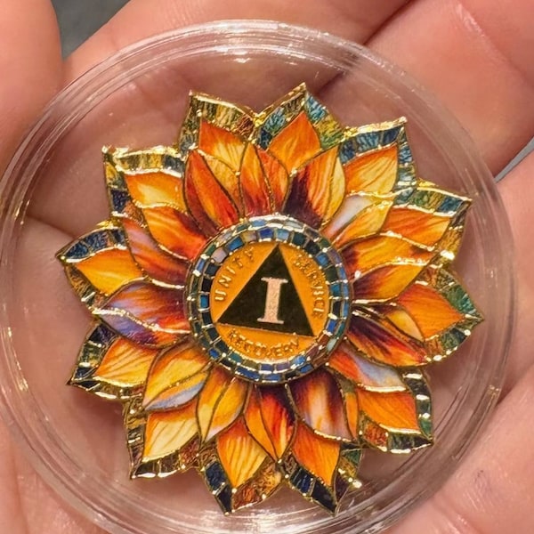 1-99 Years AA Sobriety Coin, Valley Mandala Customized Perfect ...