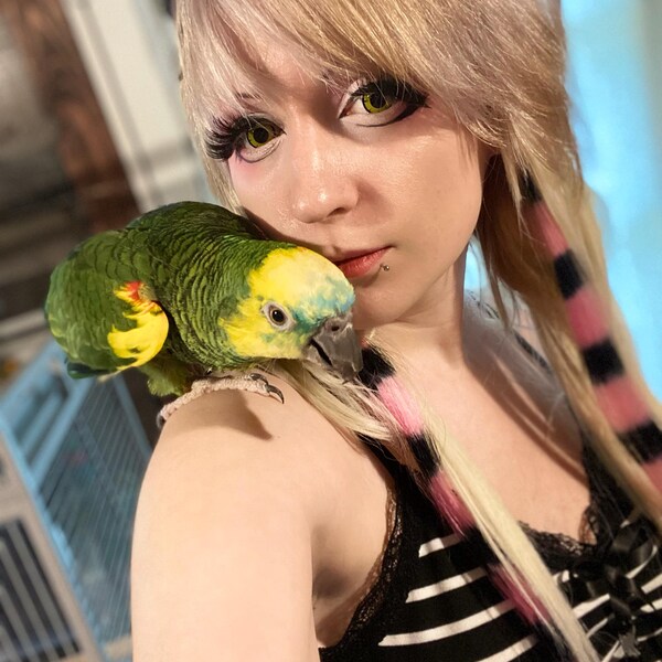 Br00tal Neon Green Racoon Tail Coontails Human Hair Scene Kids Emo ...