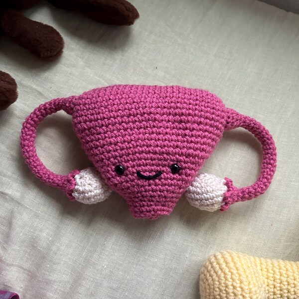 Anatomical Uterus Crochet Pattern! PATTERN ONLY Instant DOWNLOAD ...