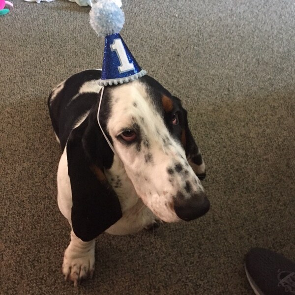 1st Birthday Hat- Boy First Birthday Hat - Mini Blue Party Hat - Boy ...