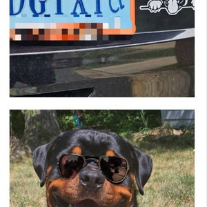 Danzig crystar Band Logo Vinyl Decal - Etsy