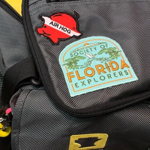 Watercolor Florida Grown Orange Die Cut Sticker | Etsy