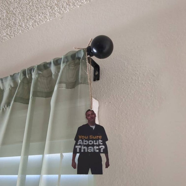 Tim Robinson on a Zipline Meme Car Air Freshener - Etsy