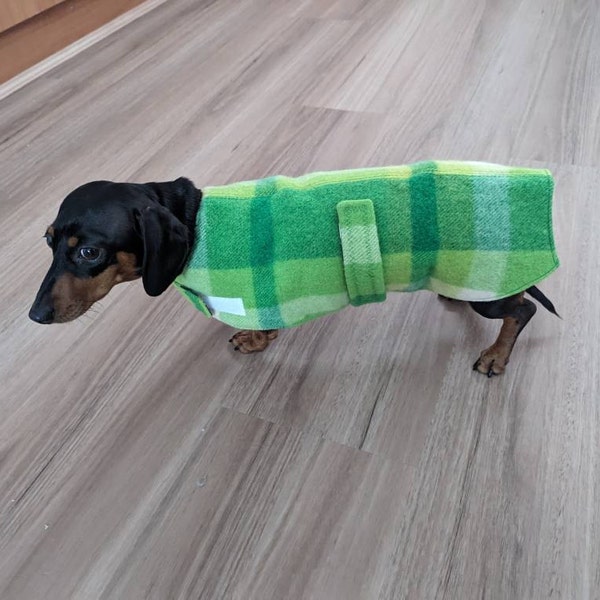 Dachshund Dog Coats, Wool Dog Coat, Sustainable Dog Coats, Recycled ...