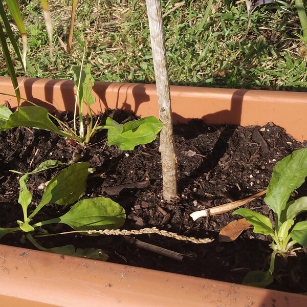 Colorful Camouflage/chinese Characters Lycra Nylon Spandex 4 Way ...