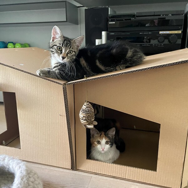 Tank Cardboard Cat House - Etsy