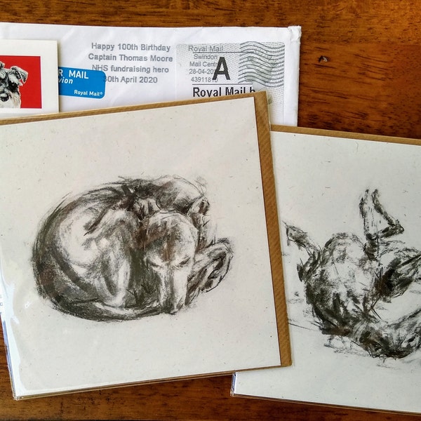 Whippet Rolling, Roach Pose, Whippet Greetings Card - Whippet Gift ...
