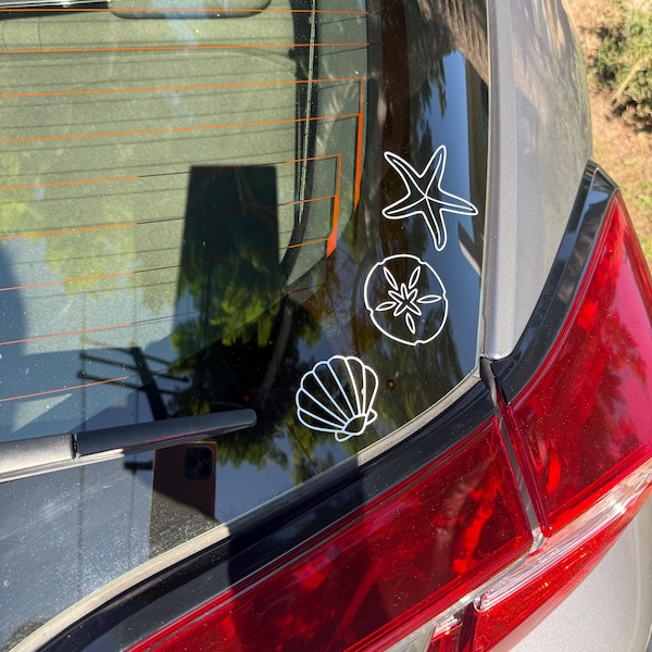 Seashell Cluster Vinyl Decal | Seashells Car Window Decal - Etsy