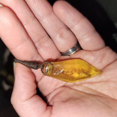 Blade Runner PKD Blaster Prop Ammo Box W/lumi-shok Rounds Deckard ...