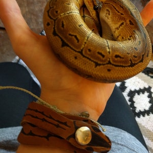 Snake Bracelet Snakelet Ball Python Leather Bracelet - Etsy
