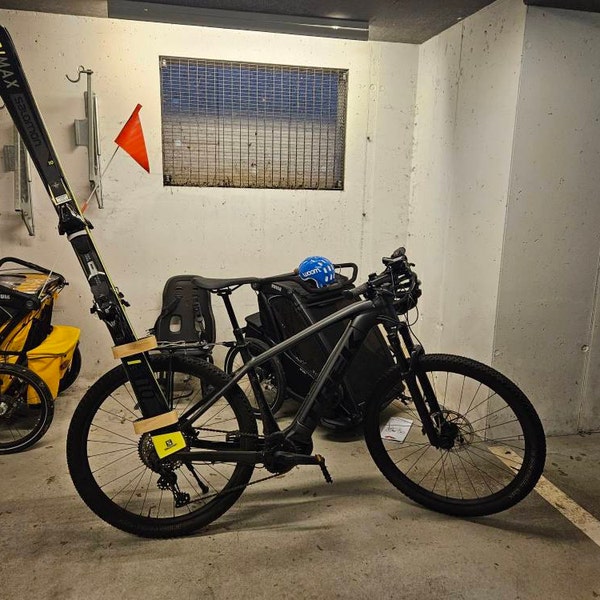 Ski Holder for Ebike and Fatbikes | Transport Skis on Bike | Ski Rack ...