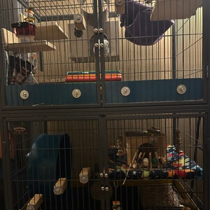 Yaheetech 37/52 Ferret Cage Cage Guards / Poop Guards SAFEST - Etsy