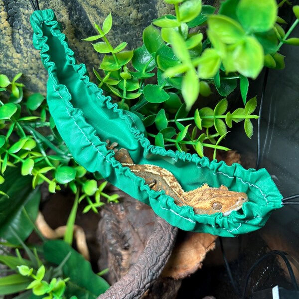 Gecko/lizard Hammock *the Original Banana Style Gecko Hammock :)* - Etsy