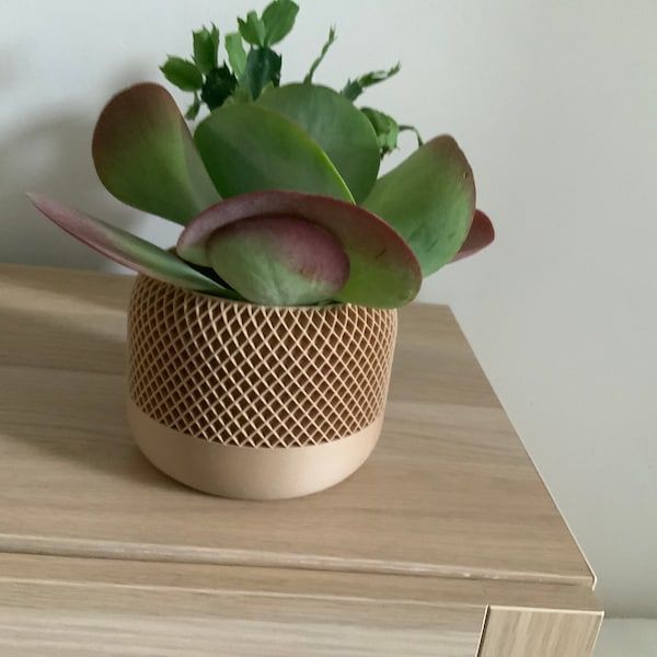 Indoor Wood Planter - APPLE - Original Gift for Plant Lovers ! - Etsy