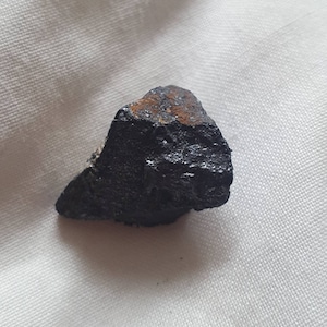 Rare Hemipristis Serra Serrated Shark Tooth Fossil Chalk, Cretaceous ...
