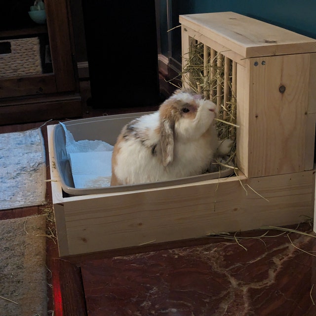 PhillyCreations - Etsy