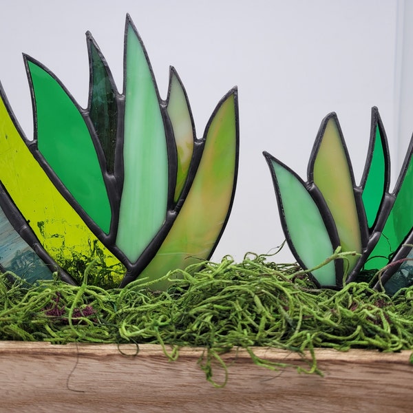 Succulent Stained Glass Patterns • Agave Flower Set for Beginner ...