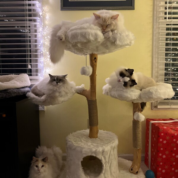 Wooden Cat Tree Tower, Wood Floral Cat Tree Tower, Modern Cat Tree, Cat ...