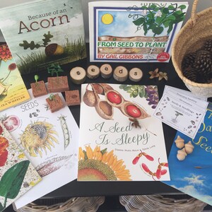 Small World Trees Forest School Wooden Log Slice Nature | Etsy UK