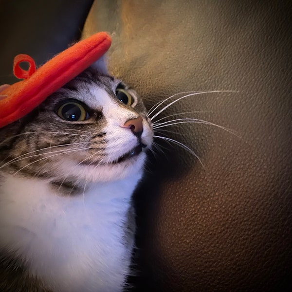 Red Beret Hat for Your Cat-- FREE SHIPPING - Etsy