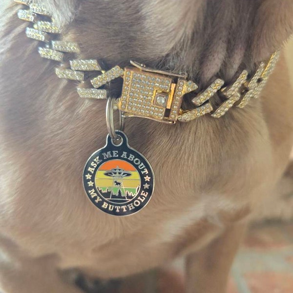 Large Personalized Pet ID Tag, Large Dog Tag for Dogs, Double Sided ...