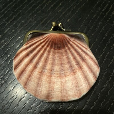 Seashell Coin Purse, Velvet Scallop Pouch - Etsy