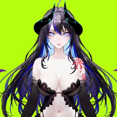 Live2d Model: Candy Yami Vtuber Model FULLY RIGGED Ready to Use - Etsy