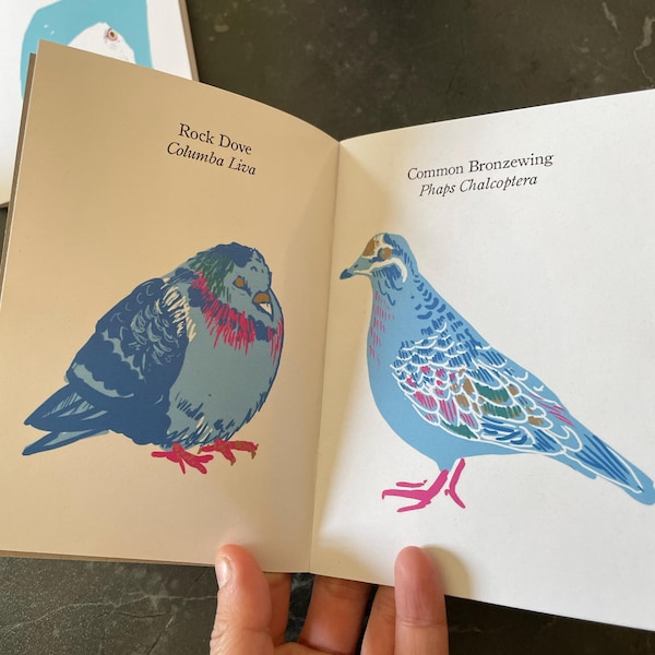 Occult Ornithology Tarot Deck and Guide Majors Only Deck Celebrating ...