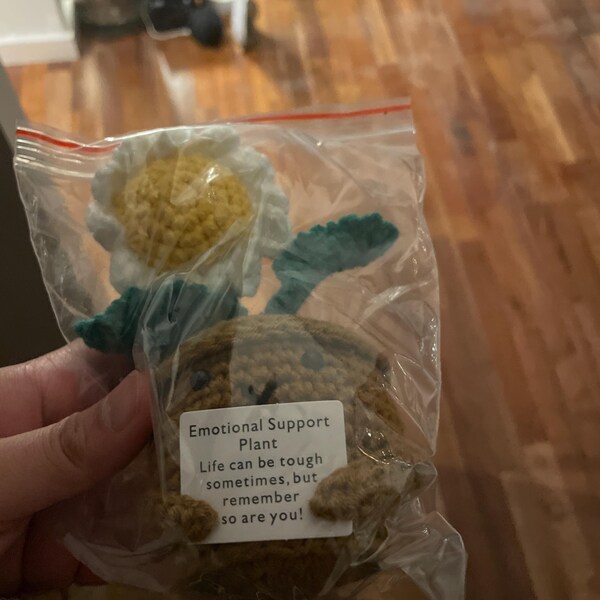 Adorable Handmade Crochet Pumpkin,emotional Support Pumpkin,positive ...