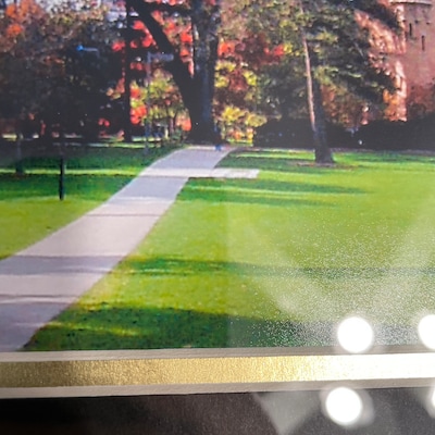 Ohio State Diploma Frame, OSU Graduation Gift, Free Shipping - Etsy