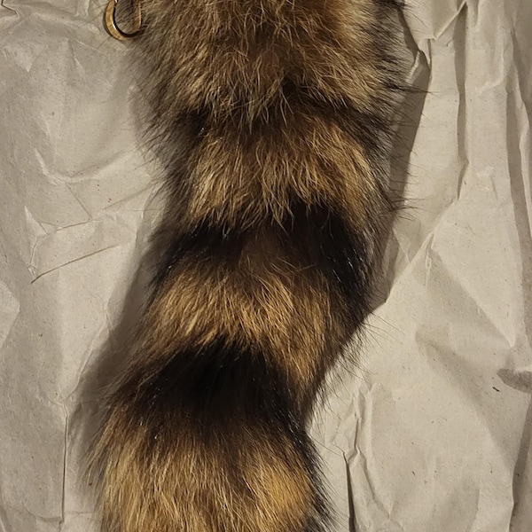 Tanuki Skull - Etsy Australia