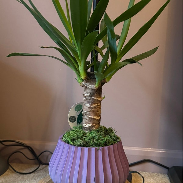 Fluted Vase Shaped Geometric Plant Pot - Plant Based Plastic - Eco ...